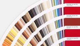 Pantone Color and Pantone Matching System: A Comprehensive Guide to ...